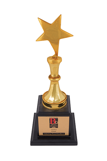 Pidilite Company Overview - It's Profile & Company Products